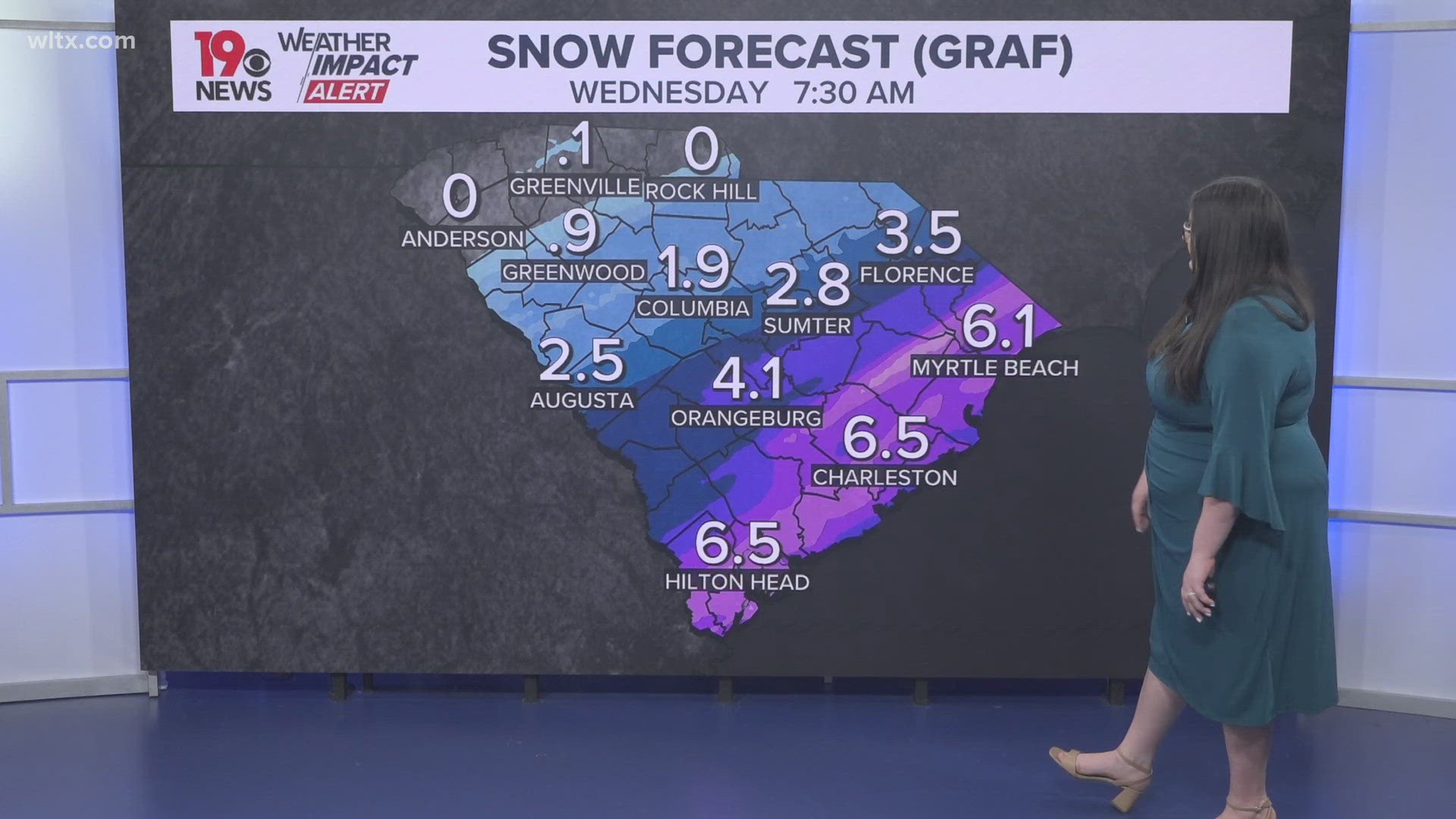 South Carolina snow forecast: Totals could get high in some areas | wltx.com