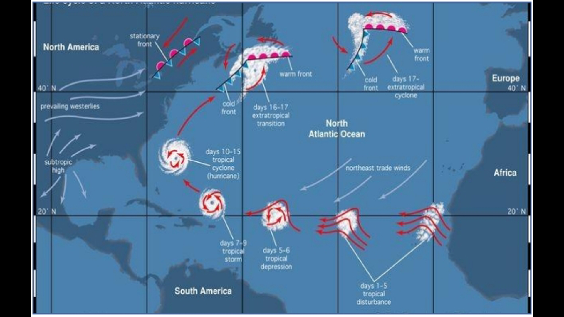 The lifecycle of a hurricane | wltx.com