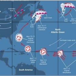 The lifecycle of a hurricane | wltx.com