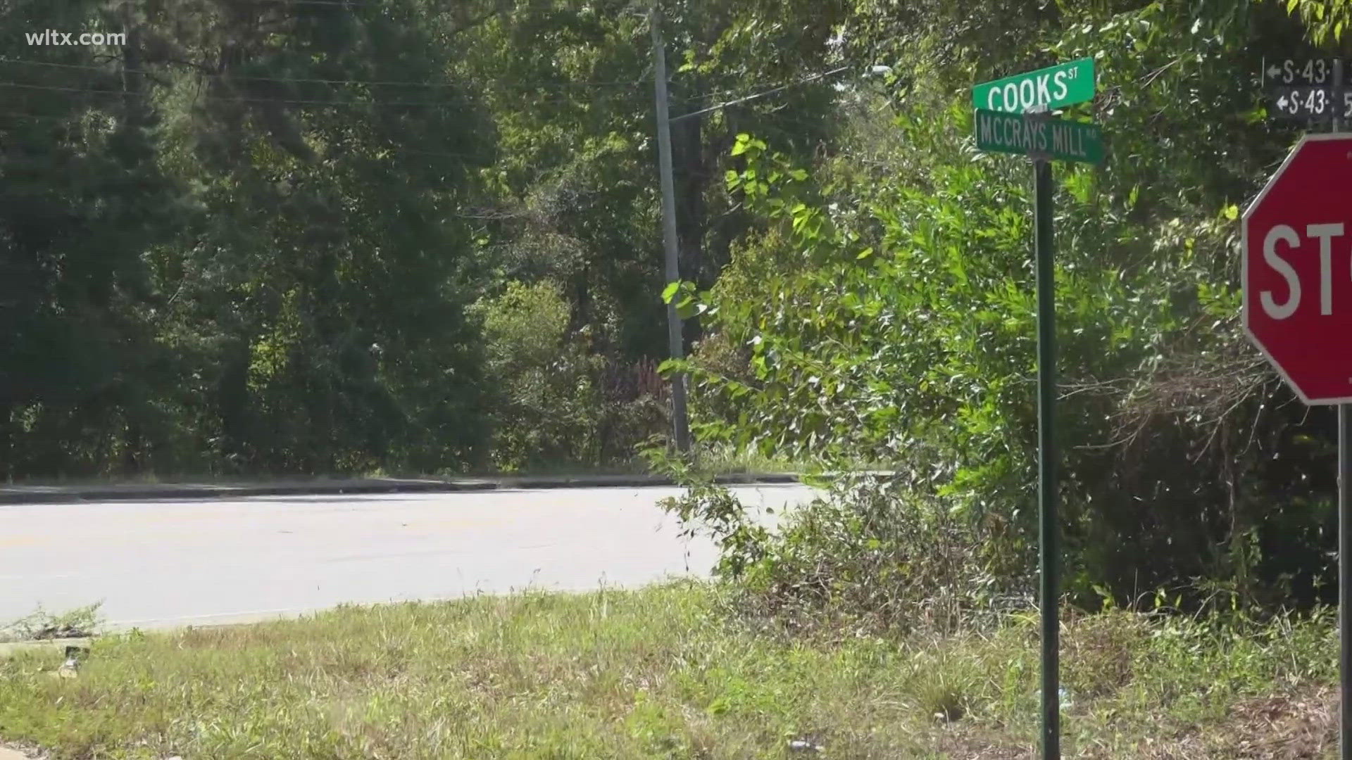 Bicyclist killed Friday night in Sumter identified | wltx.com