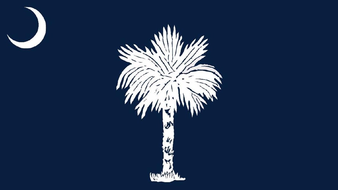 South Carolina state flag design heads to state senate again | wltx.com