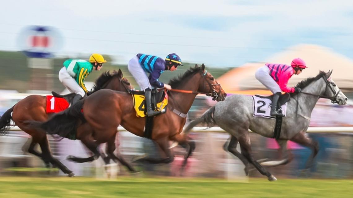 We're not horsing around: From The Cup to the rodeo, there's something ...