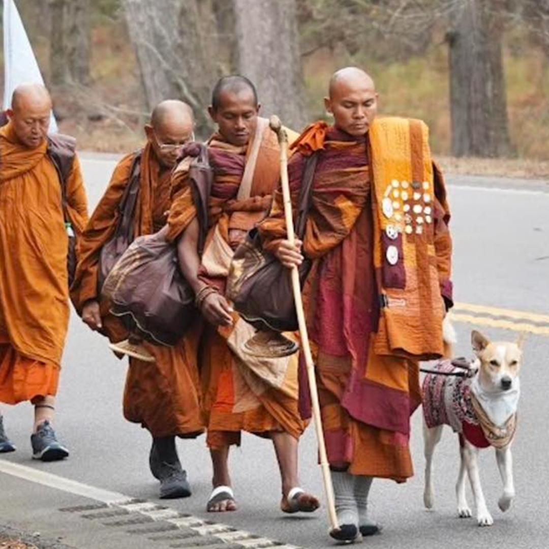 Gather COLA aims to bring 'magic' with opening on December 5 | wltx.com