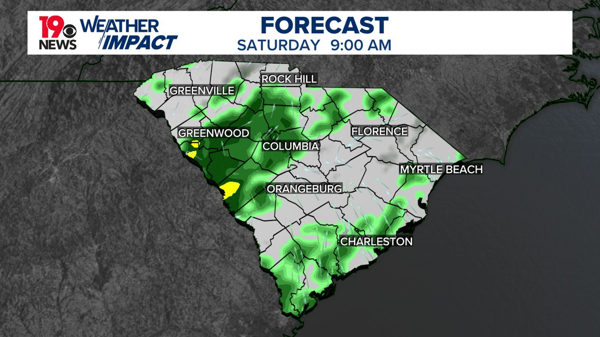 Weekend South Carolina rain before an Arctic blast next week | wltx.com