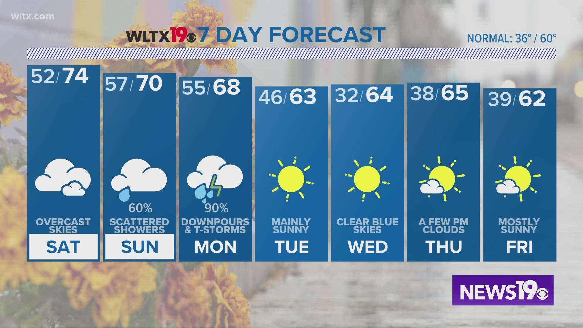 News Headlines | wltx.com