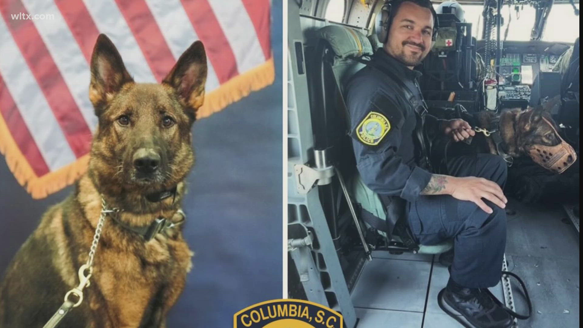 Columbia Police K-9 retires | wltx.com