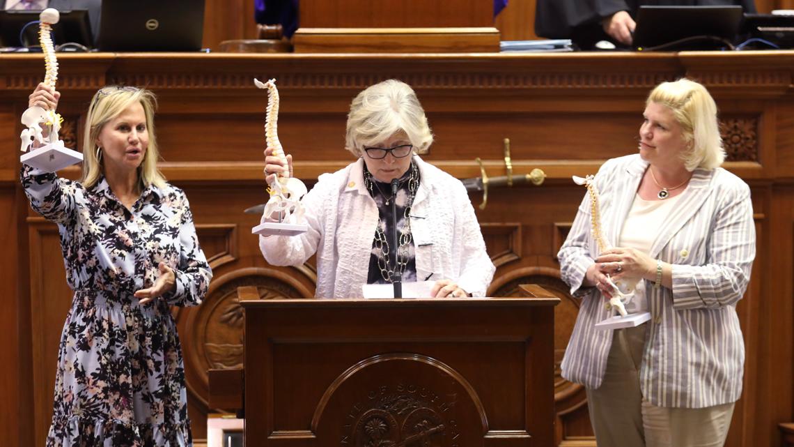 SC GOP women who helped defeat abortion ban lose reelection | wltx.com