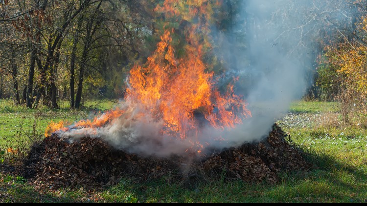 South Carolina Forestry Commission warns about outdoor burning | wltx.com