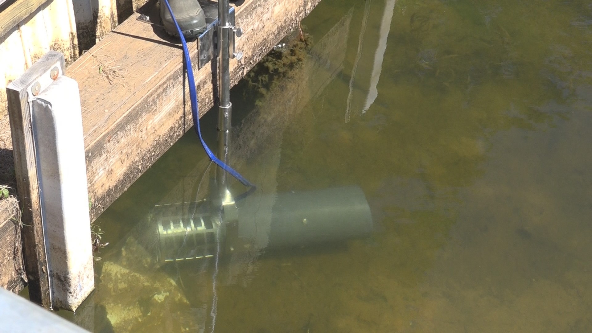 Have you ever heard of an aqua sweep? Here's what it is. | wltx.com