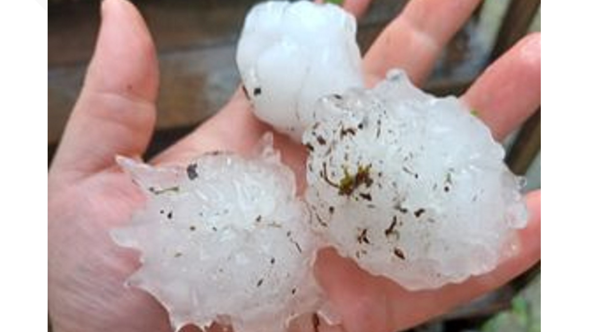 Severe hail Sunday causes damage in the Midlands | wltx.com