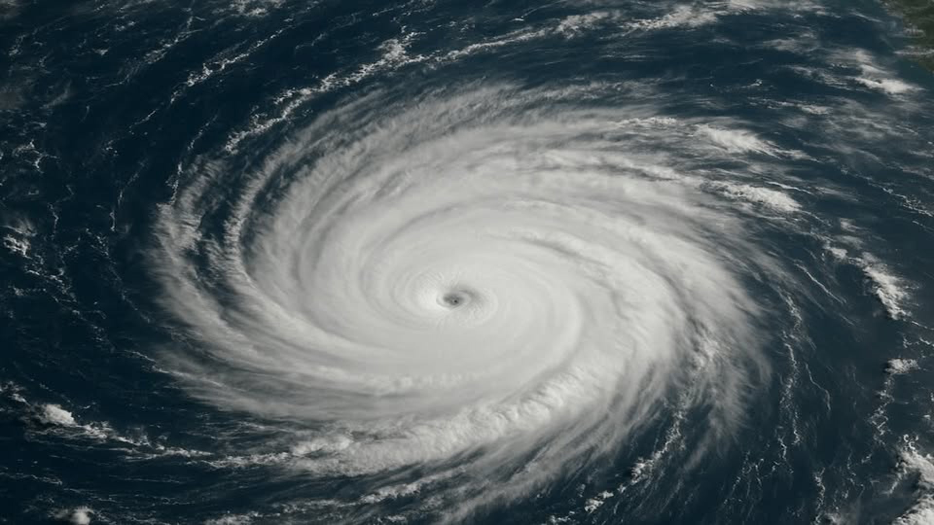 What's behind Hurricane Erin's wild trajectory? | wltx.com