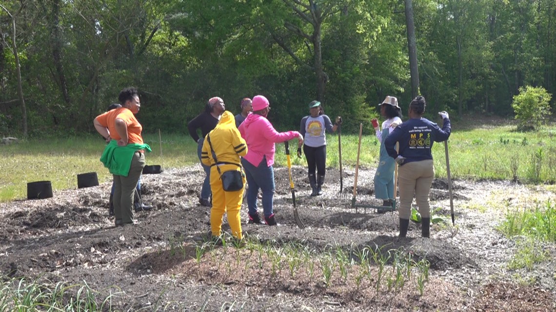 Midlands woman wins South Carolina Black Woman Farmer of the Year ...