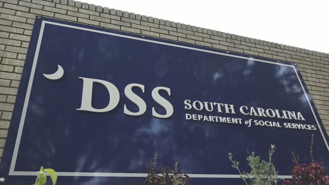 SCDSS online services restored after construction incident | wltx.com