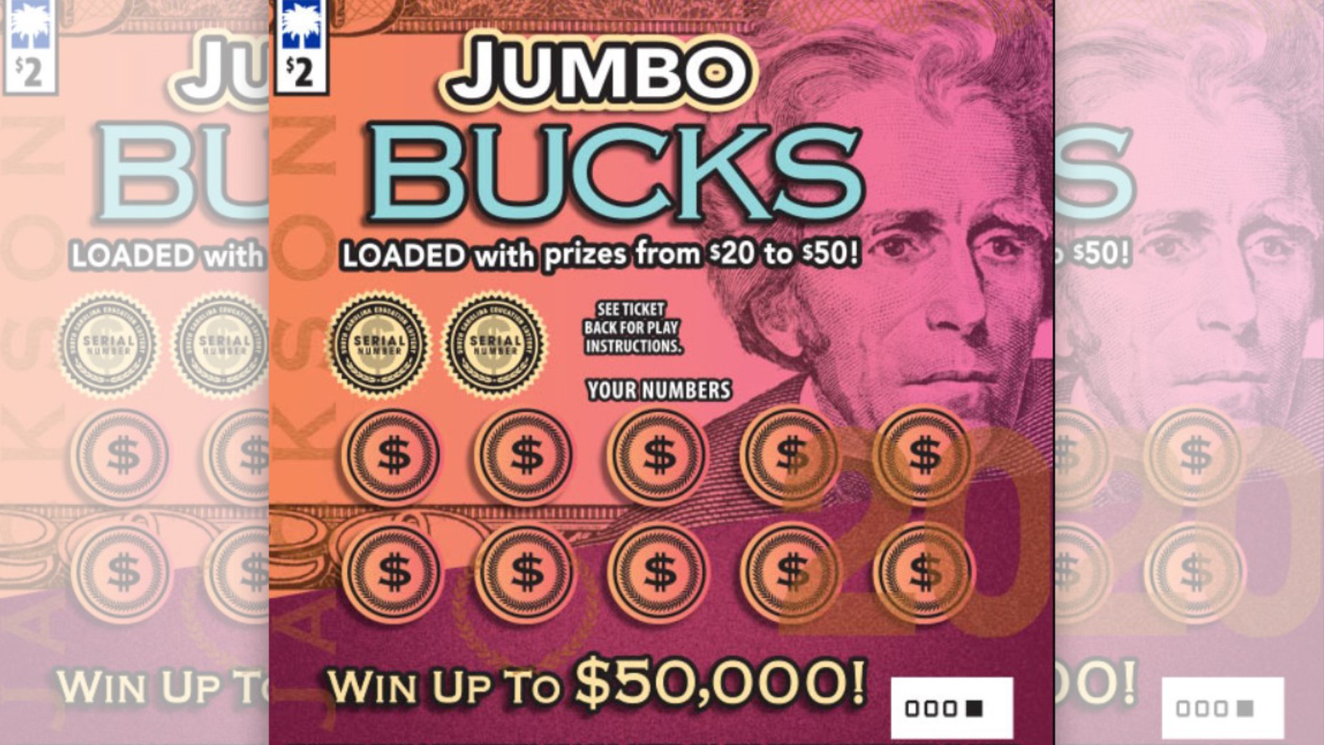 Swansea woman wins $50,000 on scratch-off SC lottery ticket | wltx.com