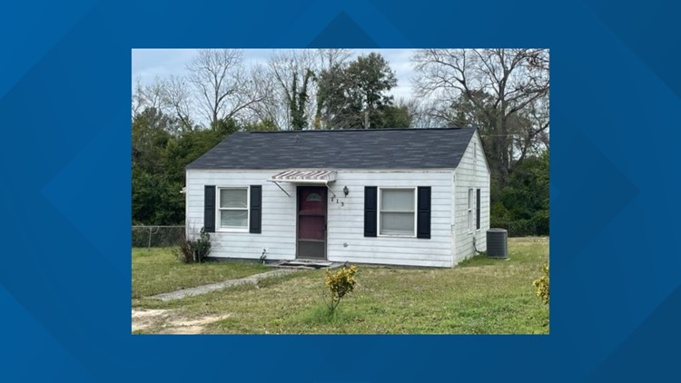 A look back at the development of the Greenview Community | wltx.com