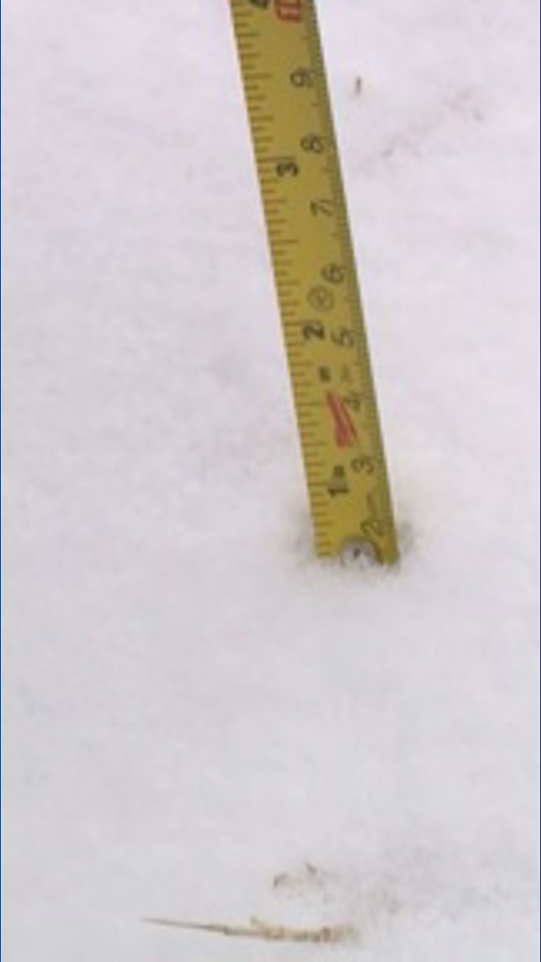 Snow coats downtown Camden as roads remain relatively quiet | wltx.com