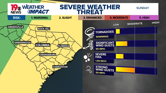 Watch | NEWS19 Live and On-Demand Videos | Columbia, South Carolina ...