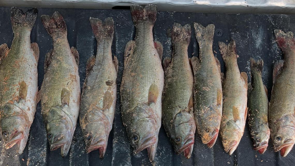 SC game wardens seize catch from persons trespassing at Lee County pond ...
