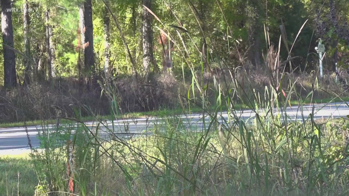 Missing woman found dead in Sumter County | wltx.com