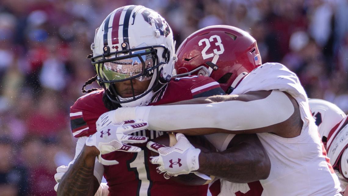 South Carolina Elections Executive Director Howard Knapp fired | wltx.com