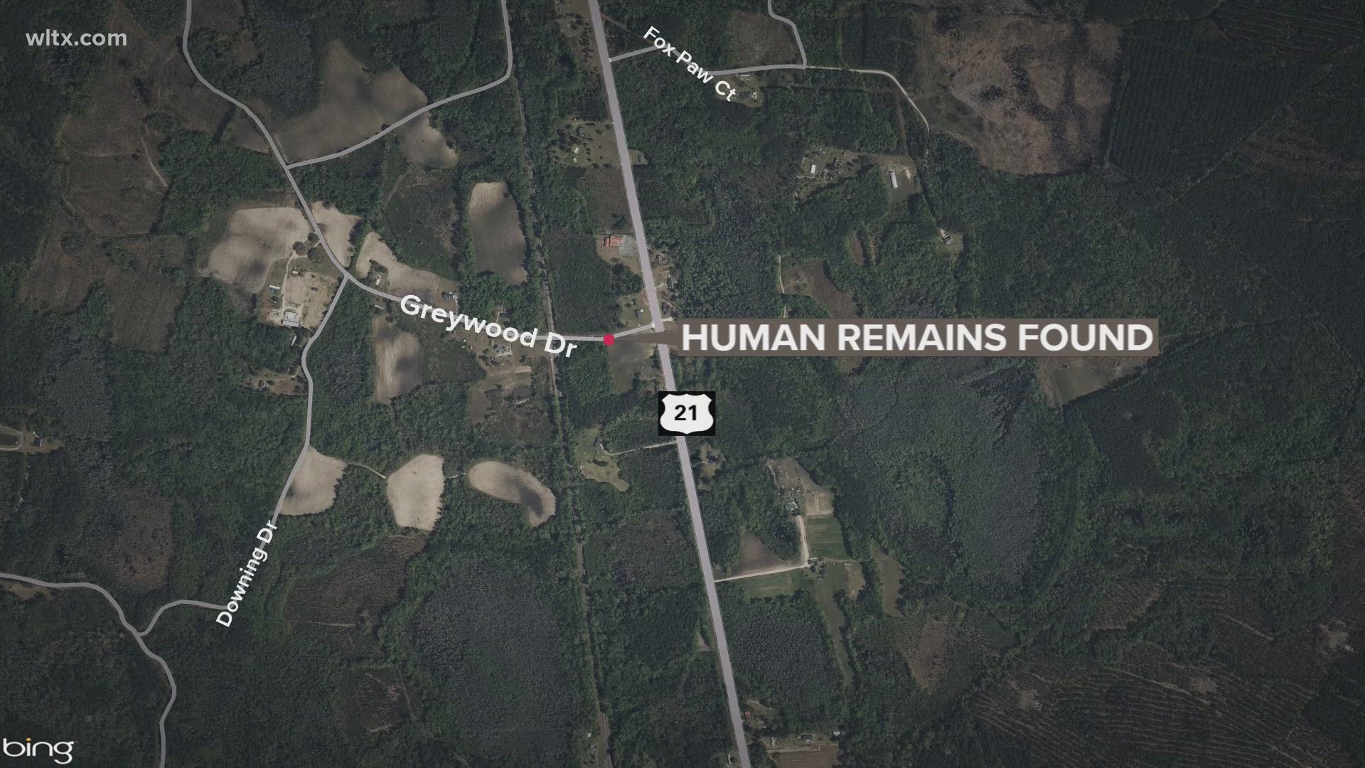 Human remains identified in Orangeburg County investigation | wltx.com