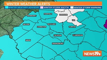 South Carolina snow ice weather forecast for Friday, January 21 | wltx.com