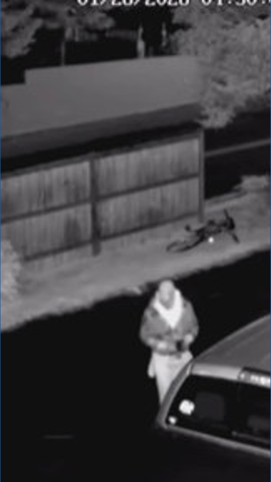 Police seek suspect after string of vehicle break-ins across Forest ...