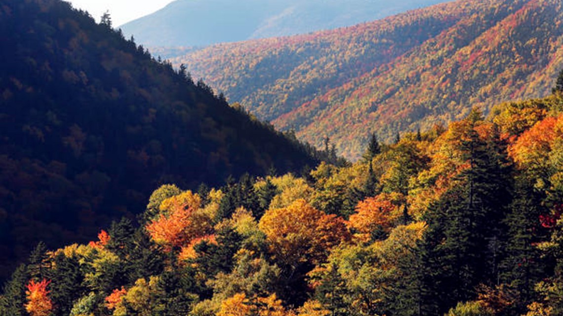 Hiker falls 300 feet to death from cliff while taking photos | wltx.com