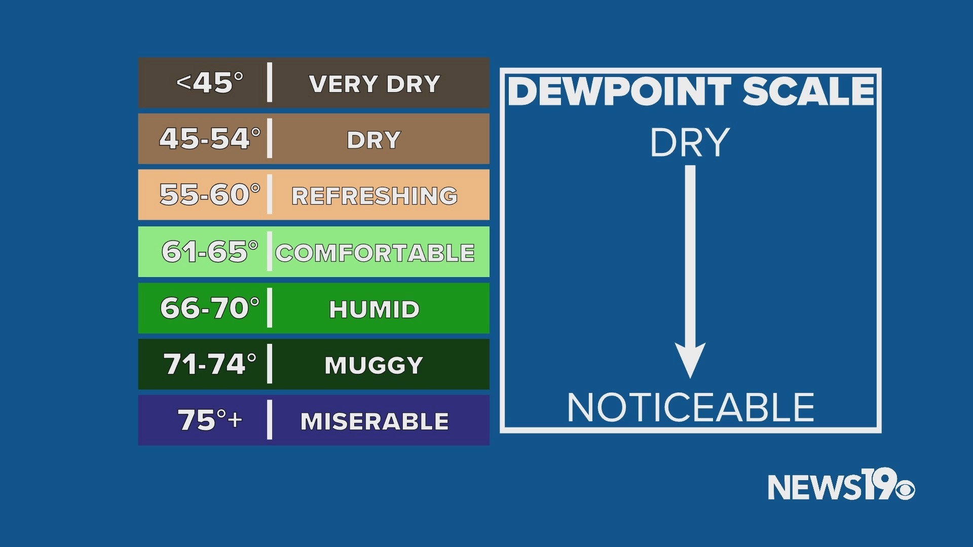 Moisture's Impact: Dewpoint & Humidity in Summer Heat | wltx.com
