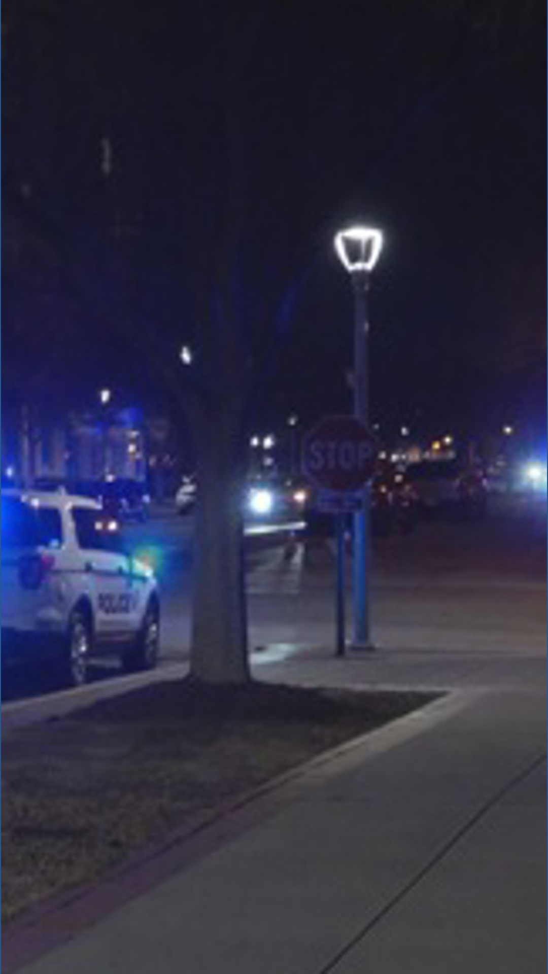 USC confirms student found dead at student housing complex | wltx.com