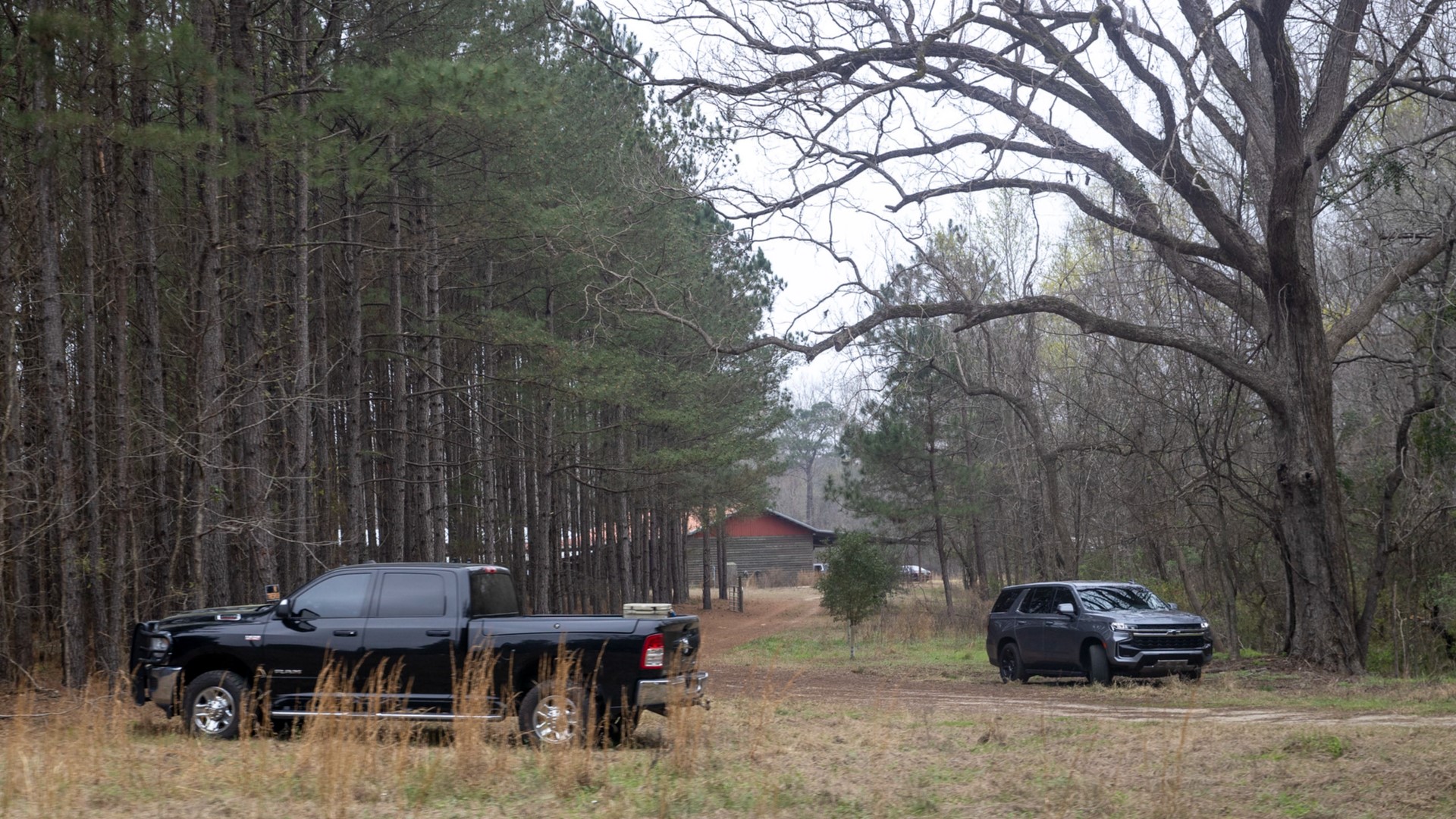 Jury visits crime scene before closings in Murdaugh trial | wltx.com