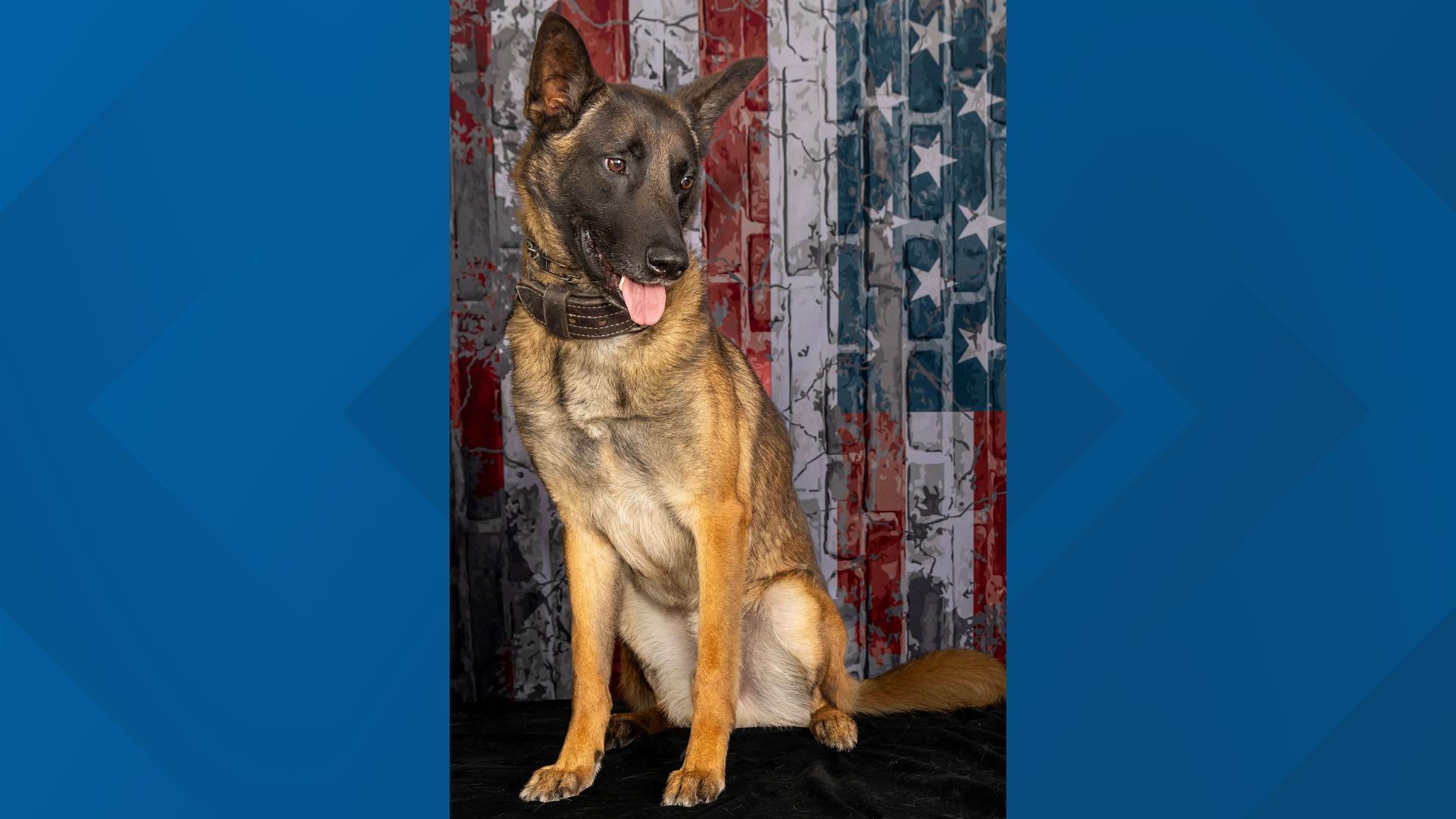 Richland County K9 Deputy killed in line of duty | wltx.com