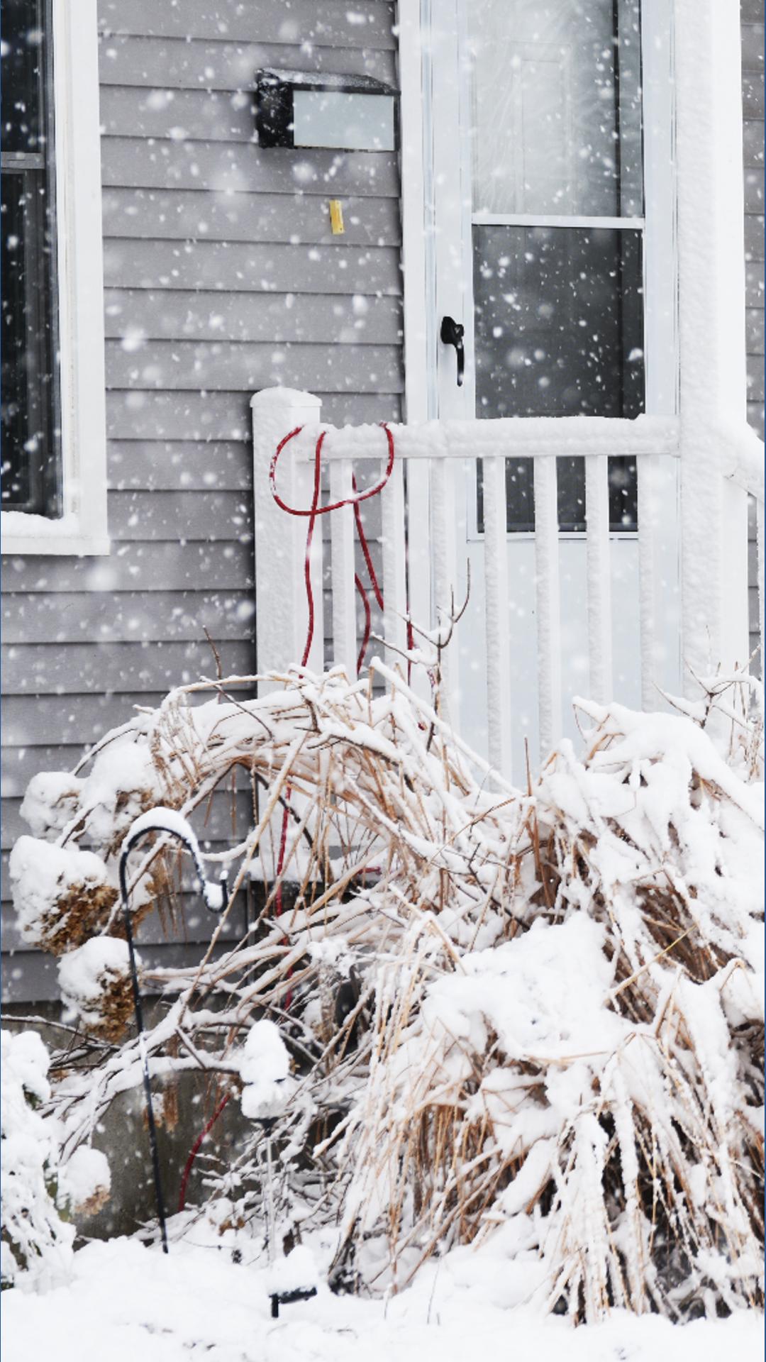 Experts urge South Carolinians to check on elderly neighbors, loved ...