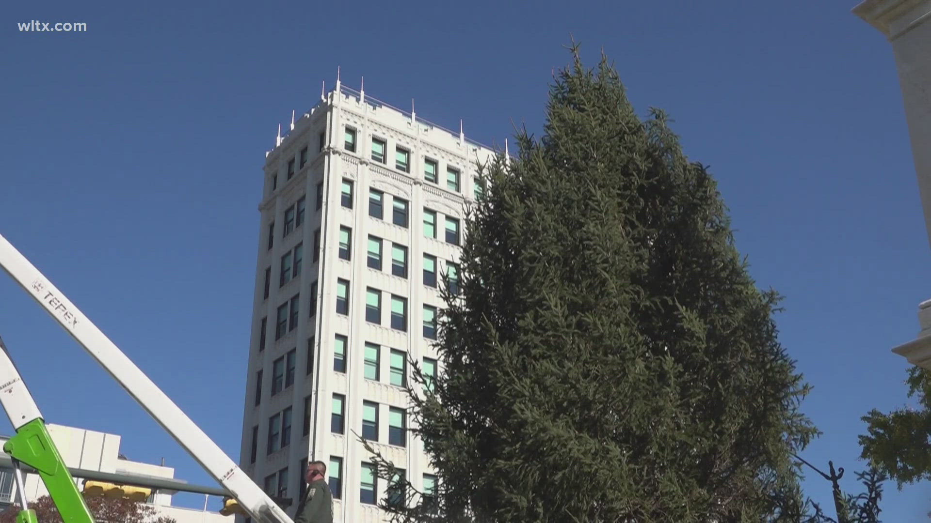 South Carolina Christmas Tree delivered to State House | wltx.com