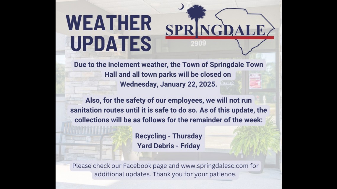 Snow in South Carolina: latest updates, snow totals, forecast | wltx.com