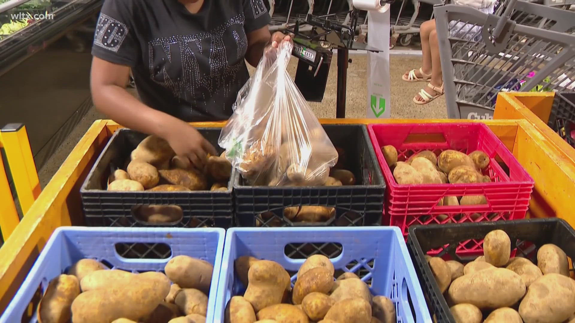 Emergency One SC Fund activated ahead of SNAP benefit loss | wltx.com