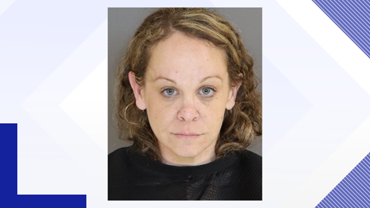 SC woman allegedly went on a nearly $6,000 shopping spree — with ...