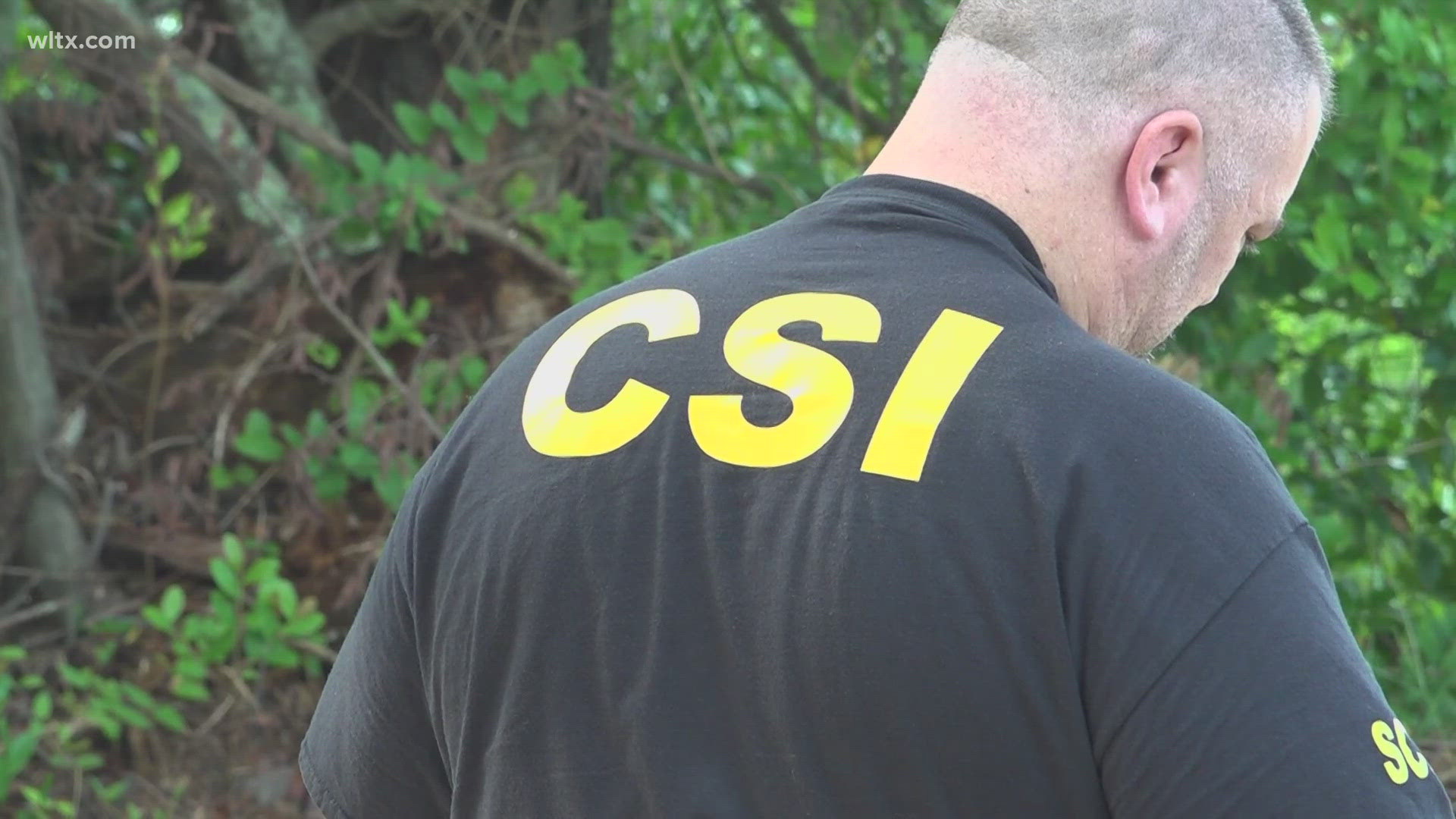 Bodies found along rural Sumter County road, officials say | wltx.com