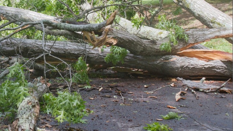 Pickens County, South Carolina tornadoes confirmed by NWS | wltx.com