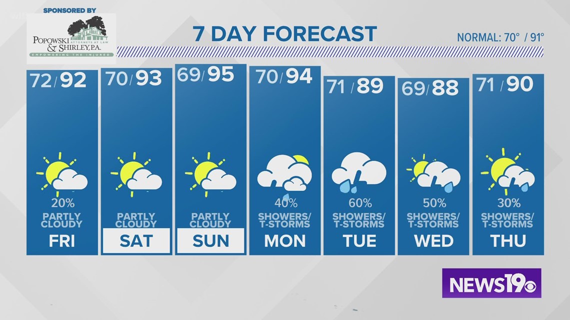 Purple Martins Flock to Lake Murray By the Hundred Thousands | wltx.com