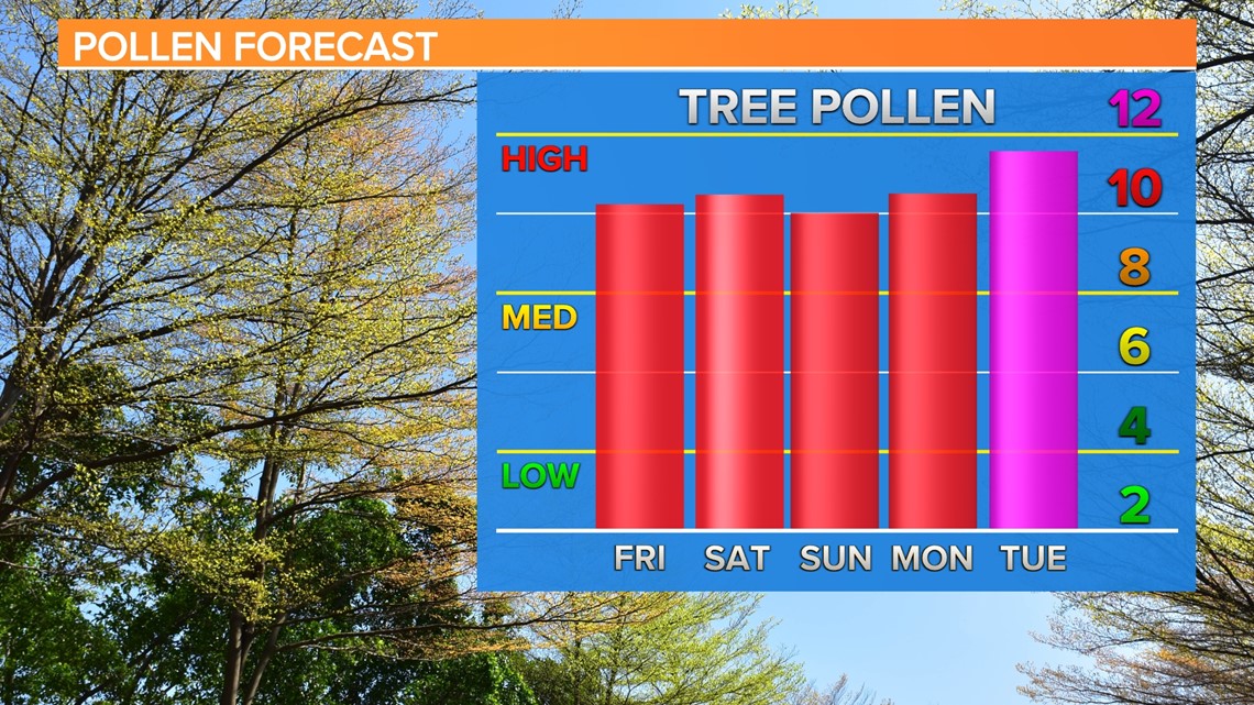 Pollen count rises after rain | wltx.com