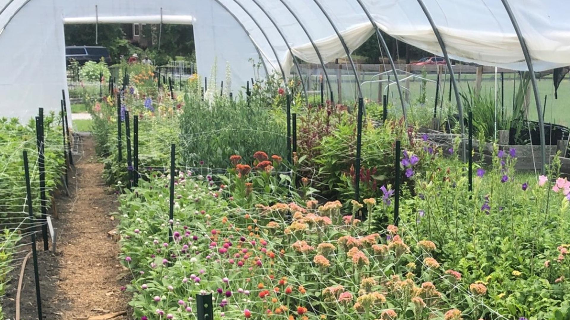 Farmers: Specialty Crop Block Grant applications are being accepted ...