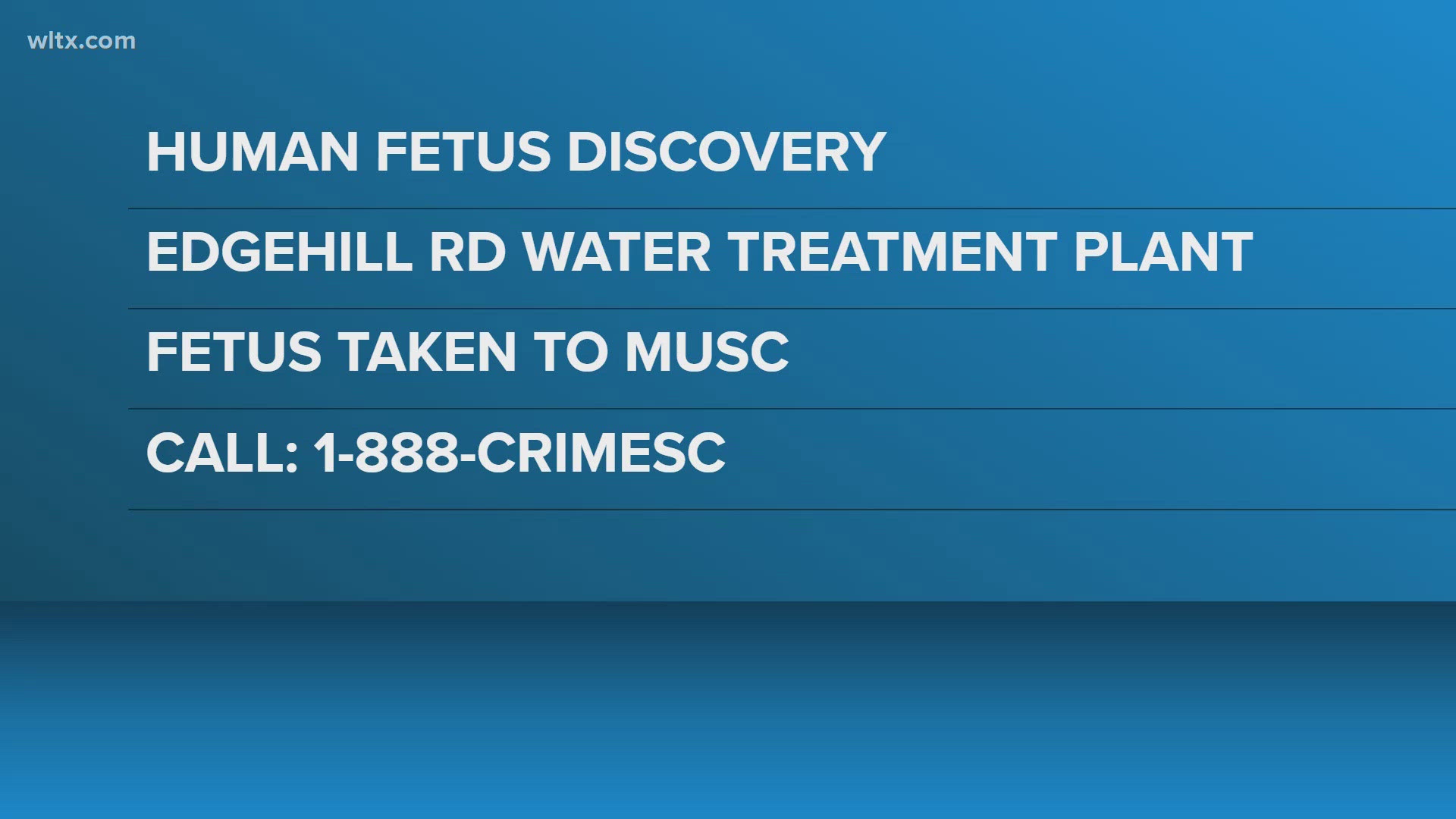 Human fetus found at Sumter County water treatment plant, authorities ...