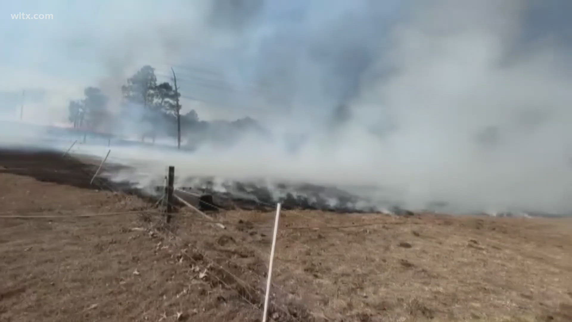 Large wildfire damages structures in Kershaw County | wltx.com