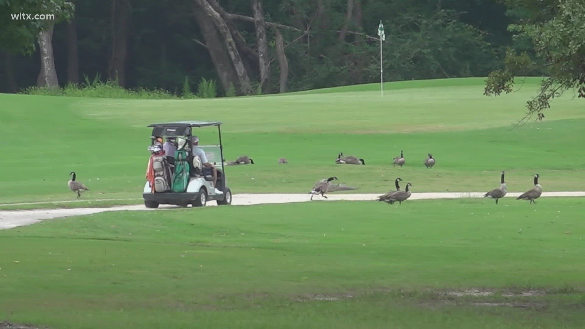 Sumter Street Squad Local News | Sumter, South Carolina | wltx.com