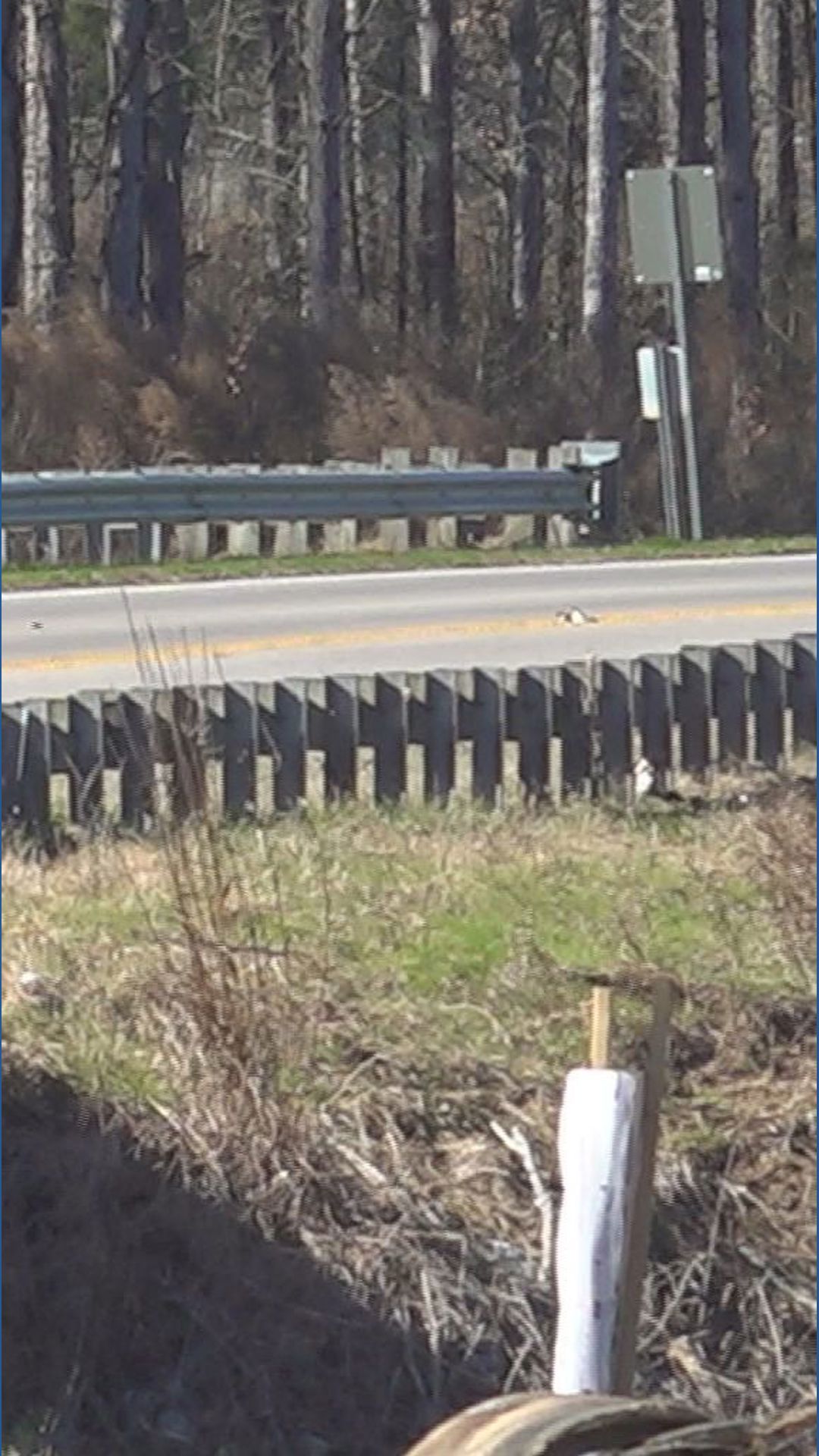 SCDOT begins Highway 378 bridge project in Saluda County | wltx.com