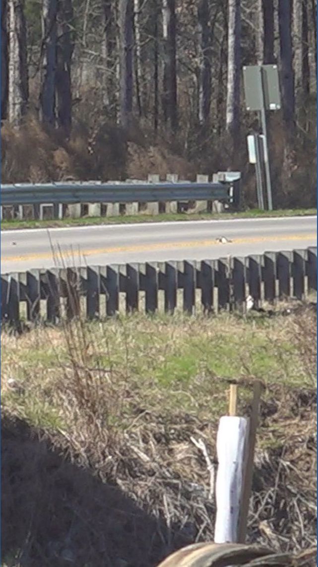 SCDOT begins Highway 378 bridge project in Saluda County | wltx.com