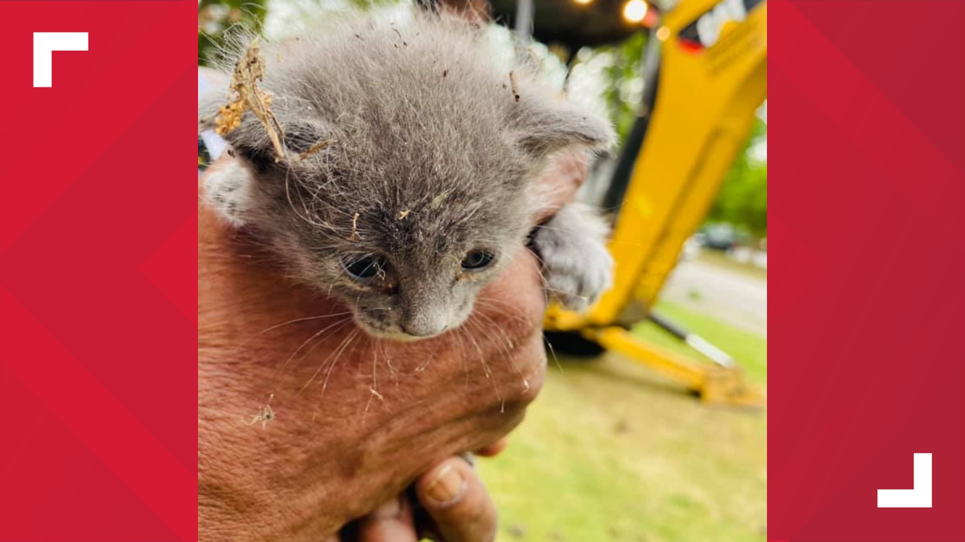 Sumter County EMS crew saves kitten stuck in storm drain | wltx.com