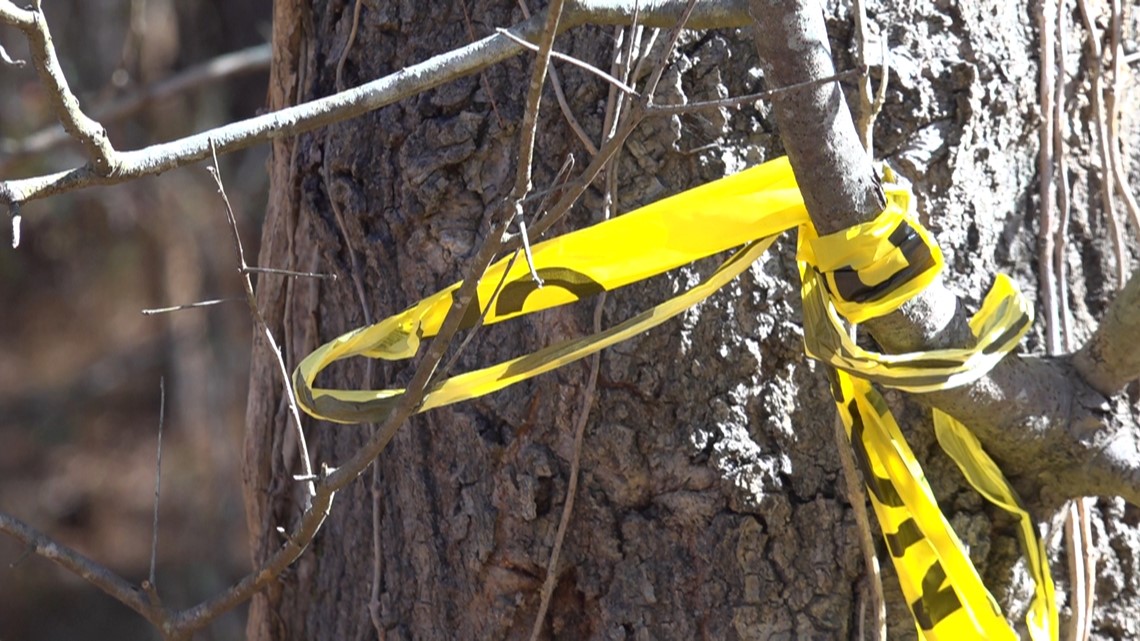 Daejon Jackson charged with murder of Frederick Nelson Jr. | wltx.com