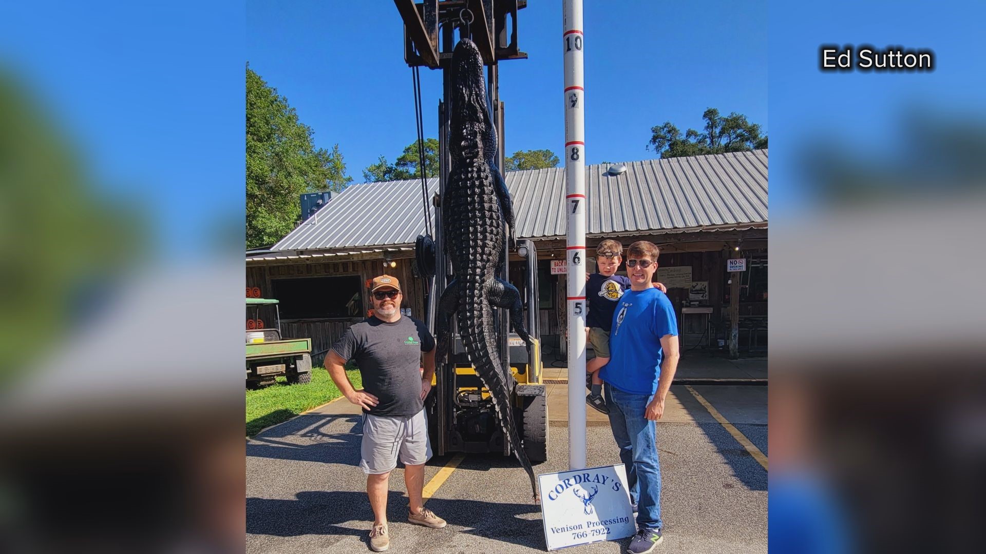 South Carolina gator hunting season first-timers make big catch | wltx.com
